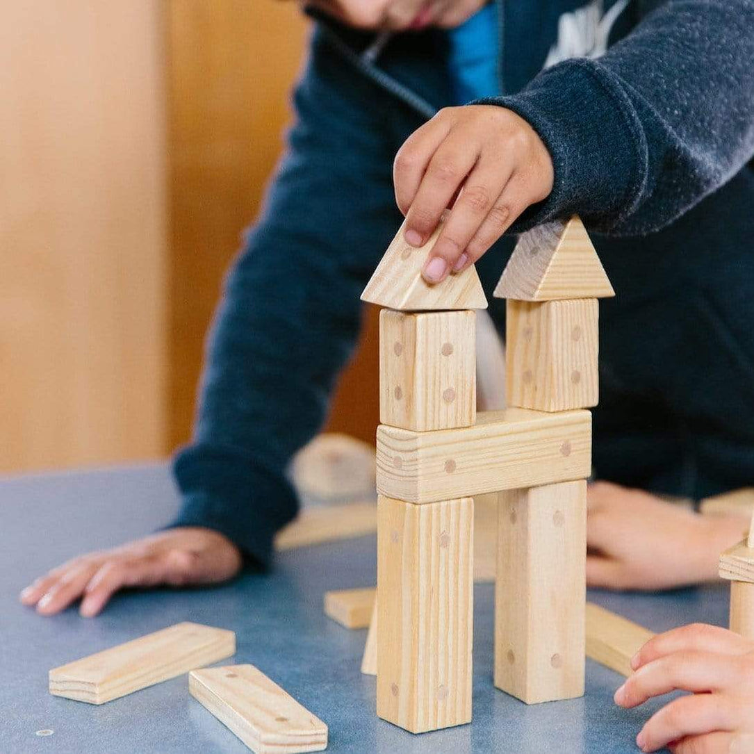 Freckled Frog Magnetic Wooden Blocks — Toypark Australia