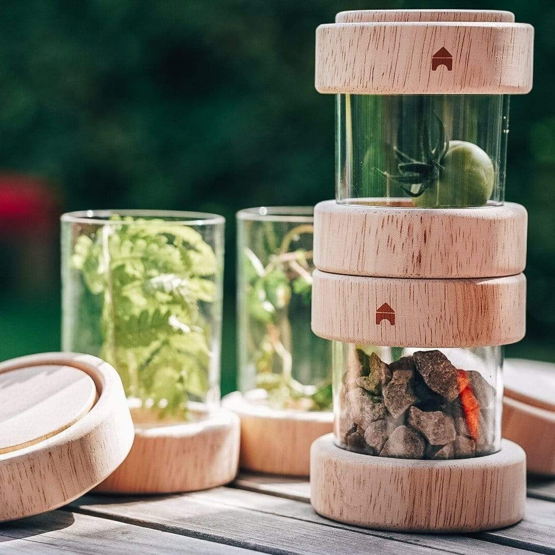 Guidecraft Treasure Tubes – Clear — Toypark Australia