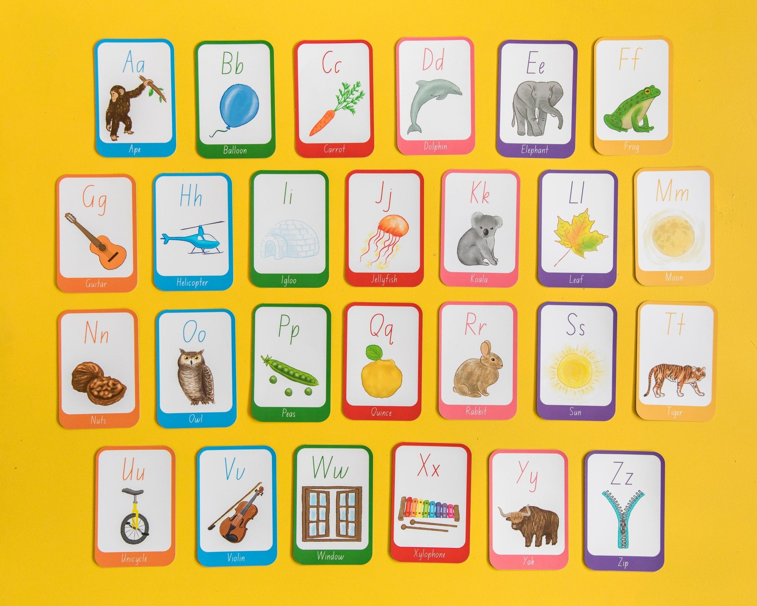 Freckled Frog ABC Flashcards — Toypark Australia