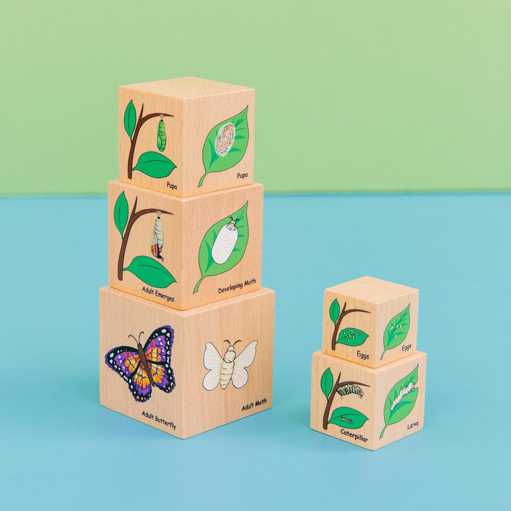 Freckled Frog Lifecycle Wooden Blocks — Toypark Australia