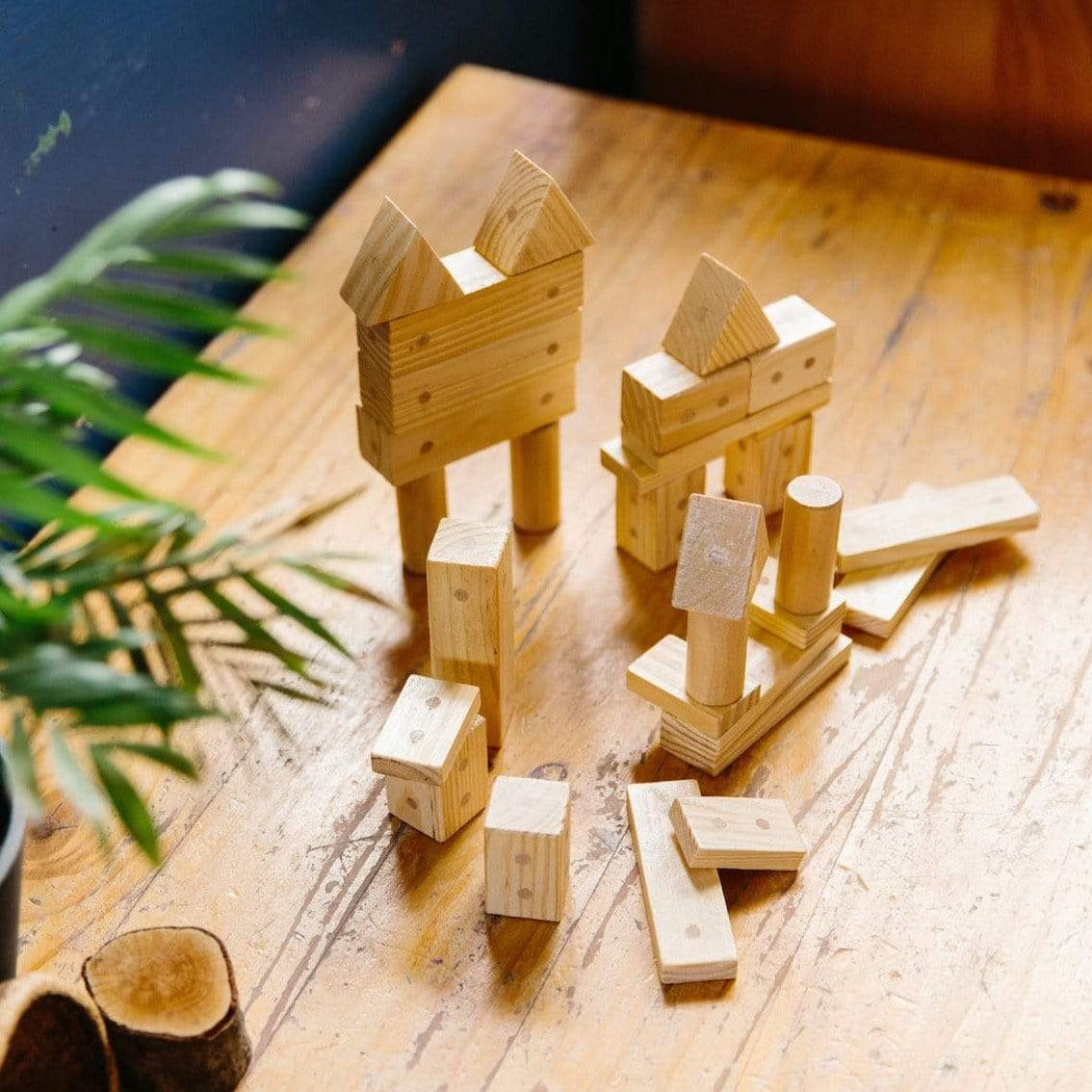 Freckled Frog Magnetic Wooden Blocks | Wooden Blocks | Toypark ...