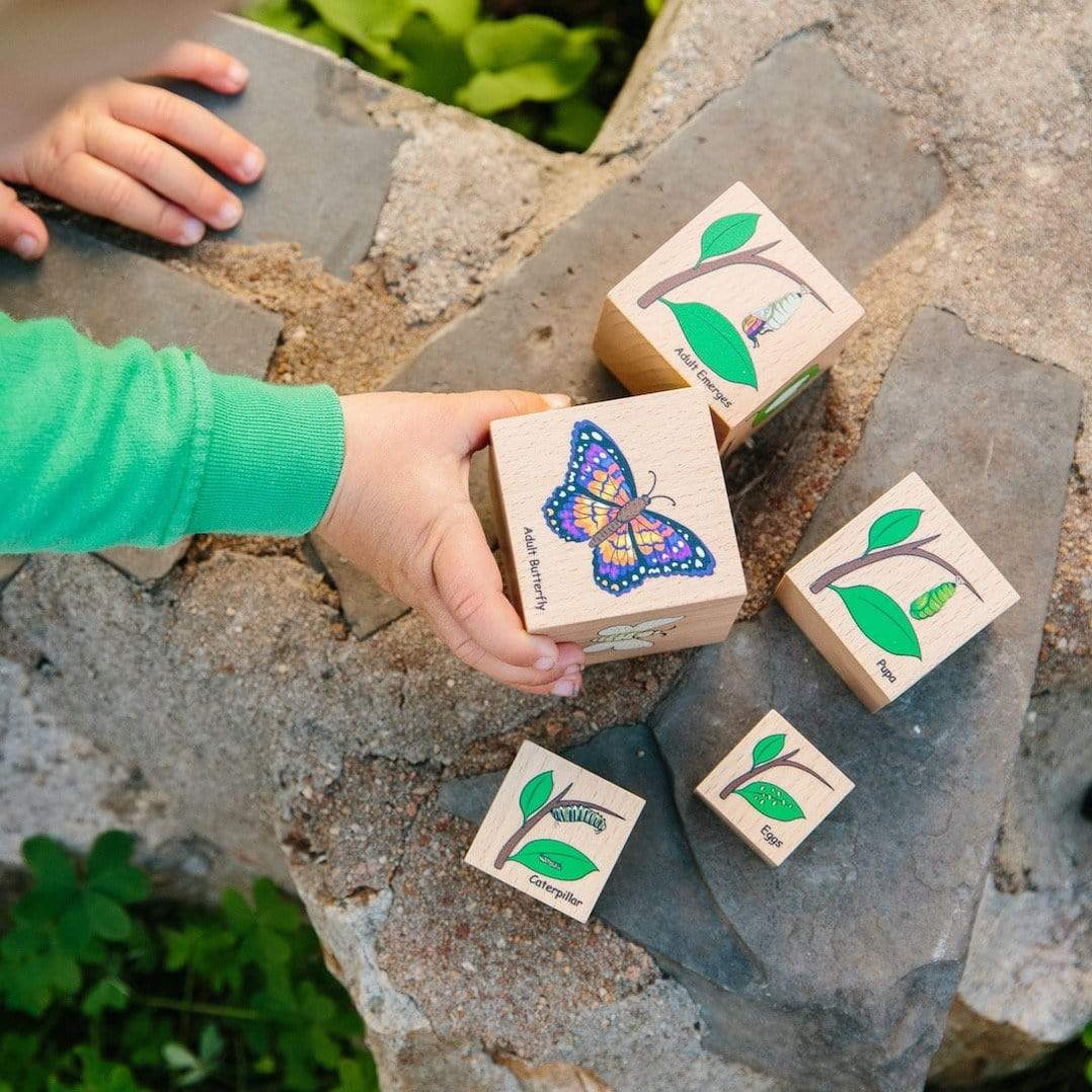 Freckled Frog Lifecycle Wooden Blocks | Wooden Blocks | Toypark ...