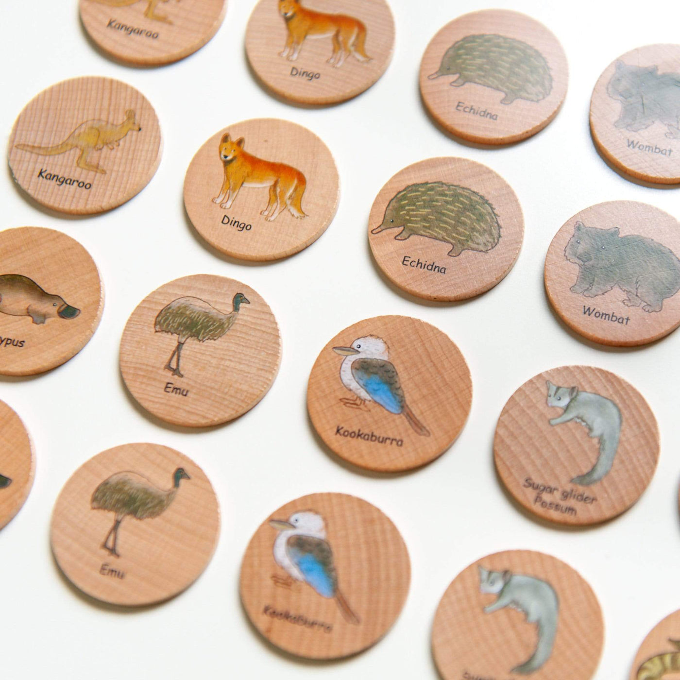 Freckled Frog Australian Animals Matching Pairs — Toypark Australia