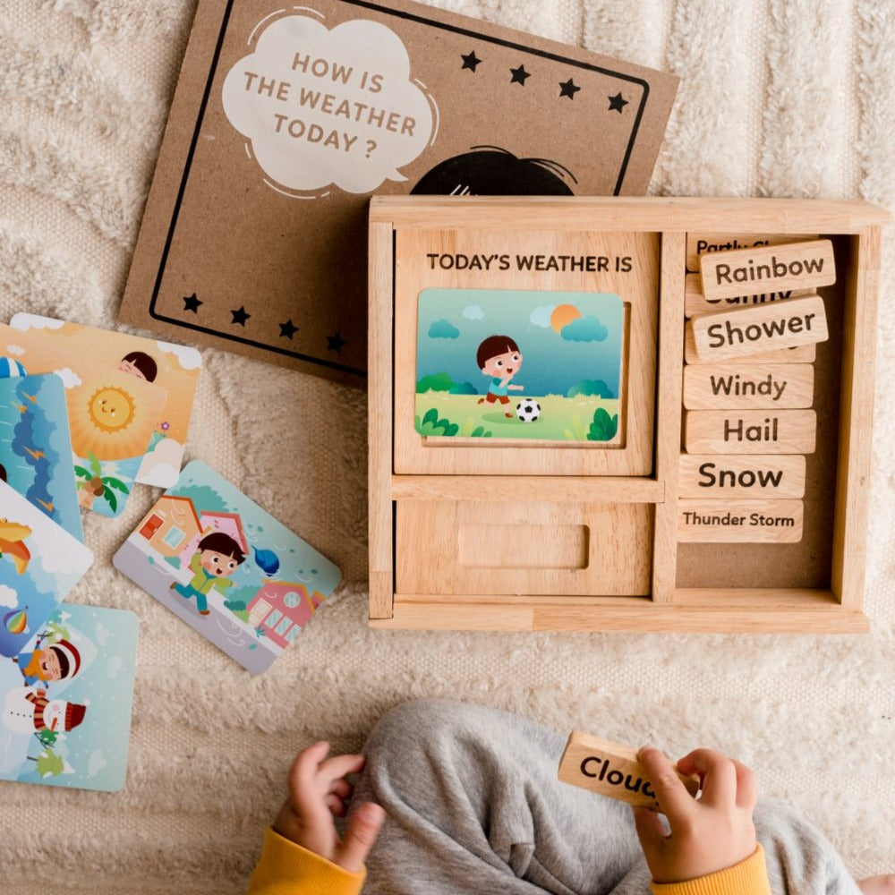 QToys Weather Play set | Montessori Toys | Toypark Australia
