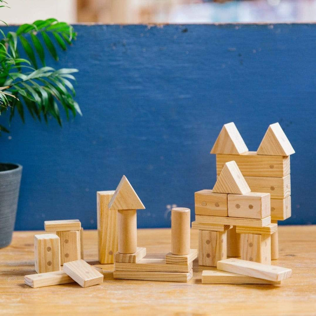 Freckled Frog Magnetic Wooden Blocks — Toypark Australia