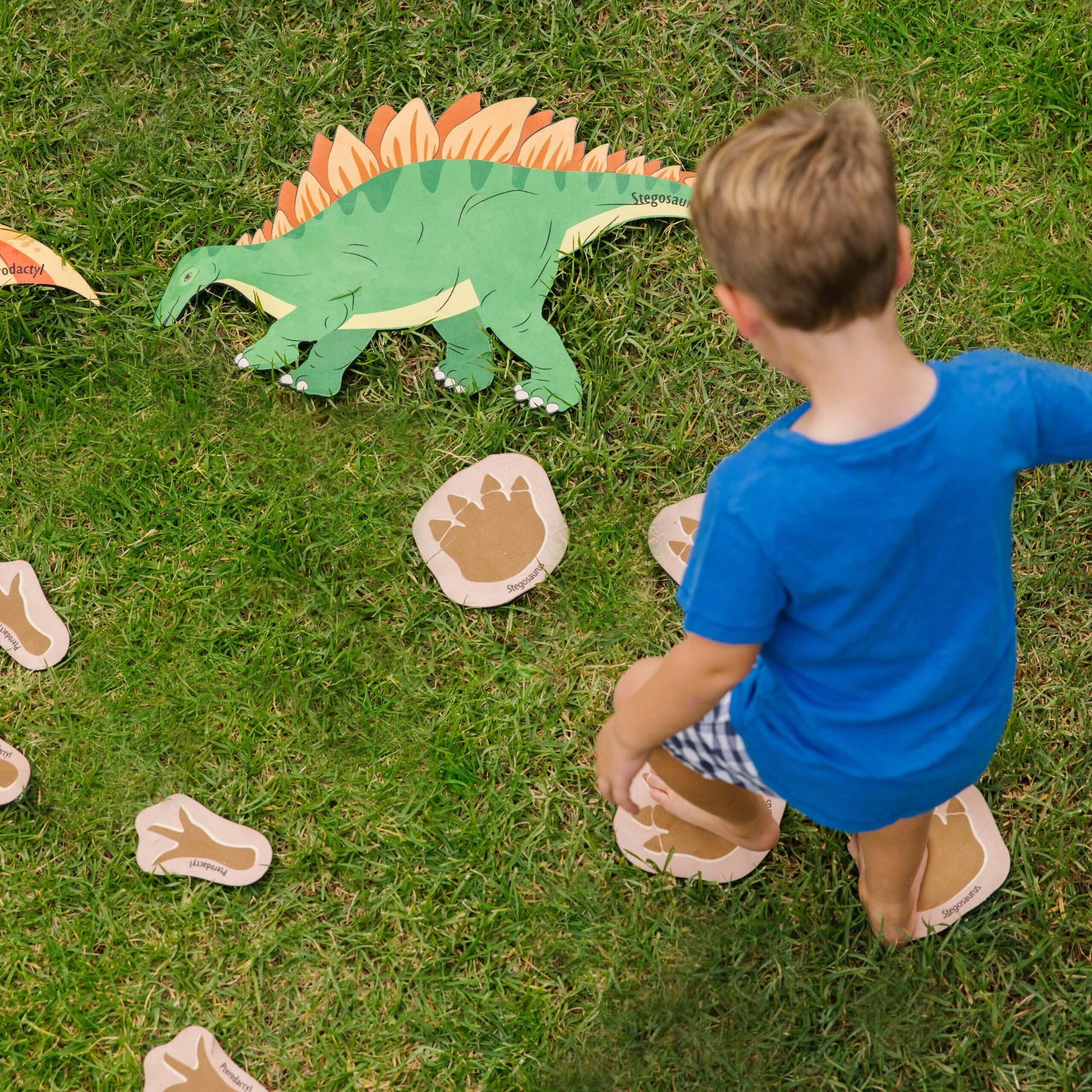 The Freckled Frog Chasing Dinosaurs! — Toypark Australia